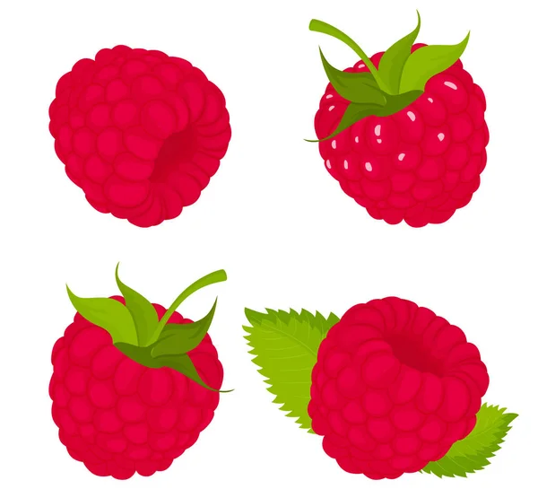 19,400,152 Raspberry clipart Vector Images | Depositphotos