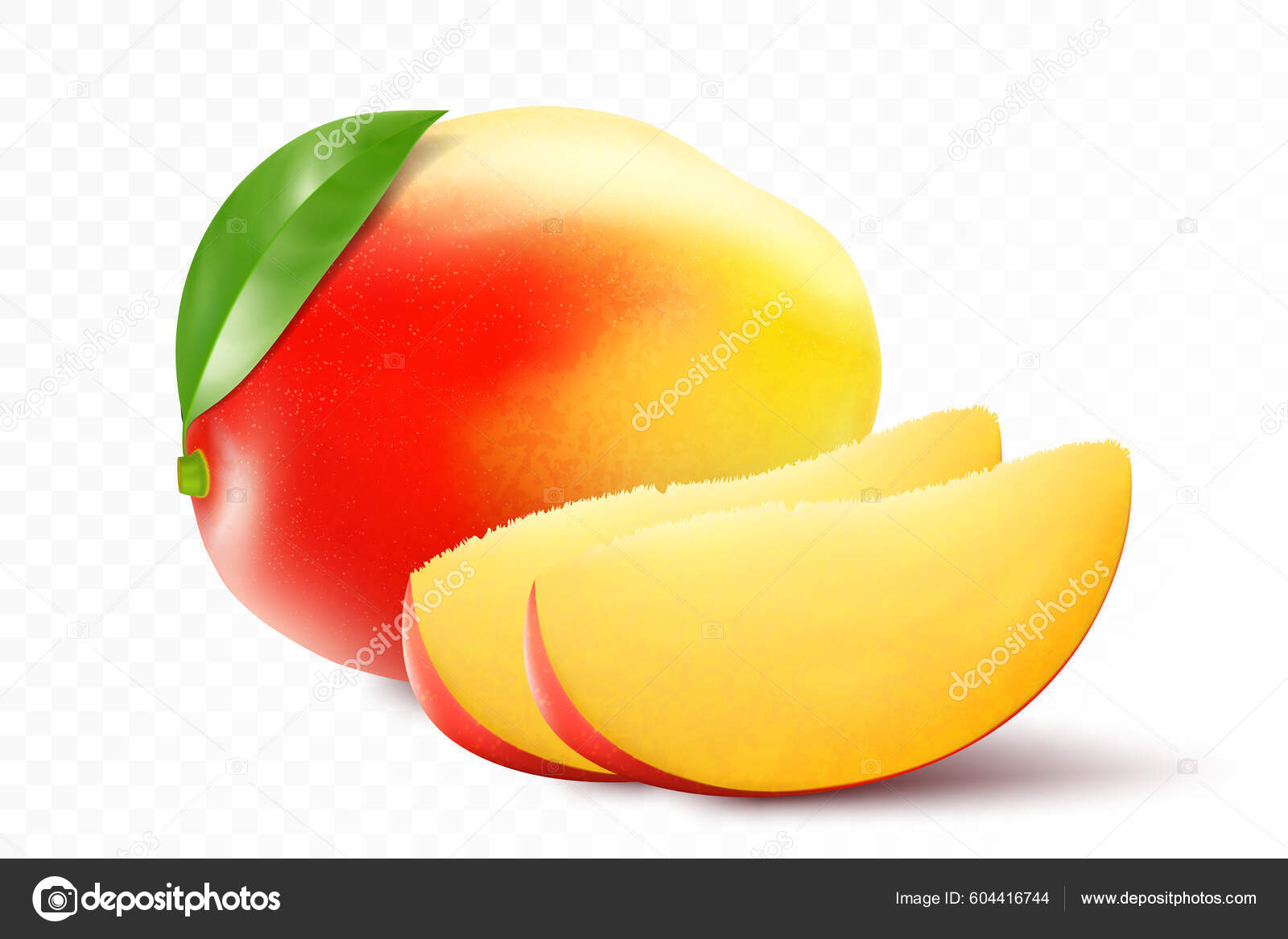 Whole Slice Mango Fruit Leaf Realistic Isolated Vector Editable ...