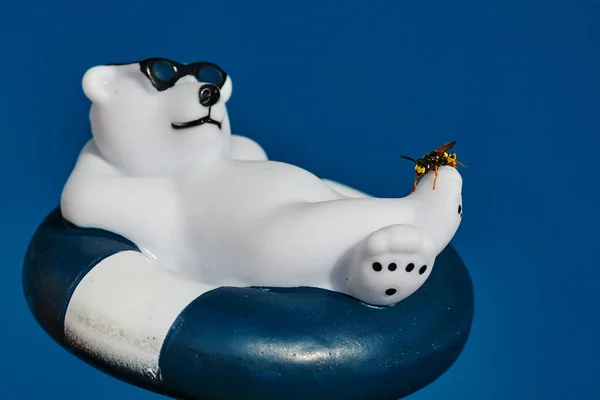 Melting ice caps Stock Photos, Royalty Free Melting ice caps Images ...