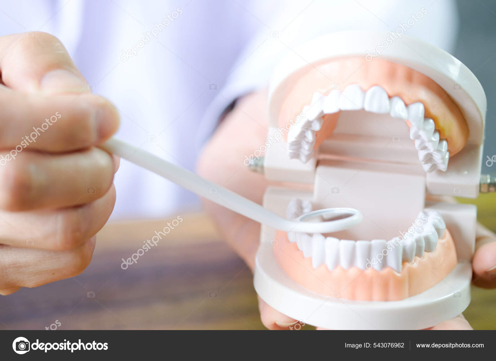 Käsissä Hammaslääkäri Hän Osoittaa Miten Harjata Hampaat Kunnolla ...