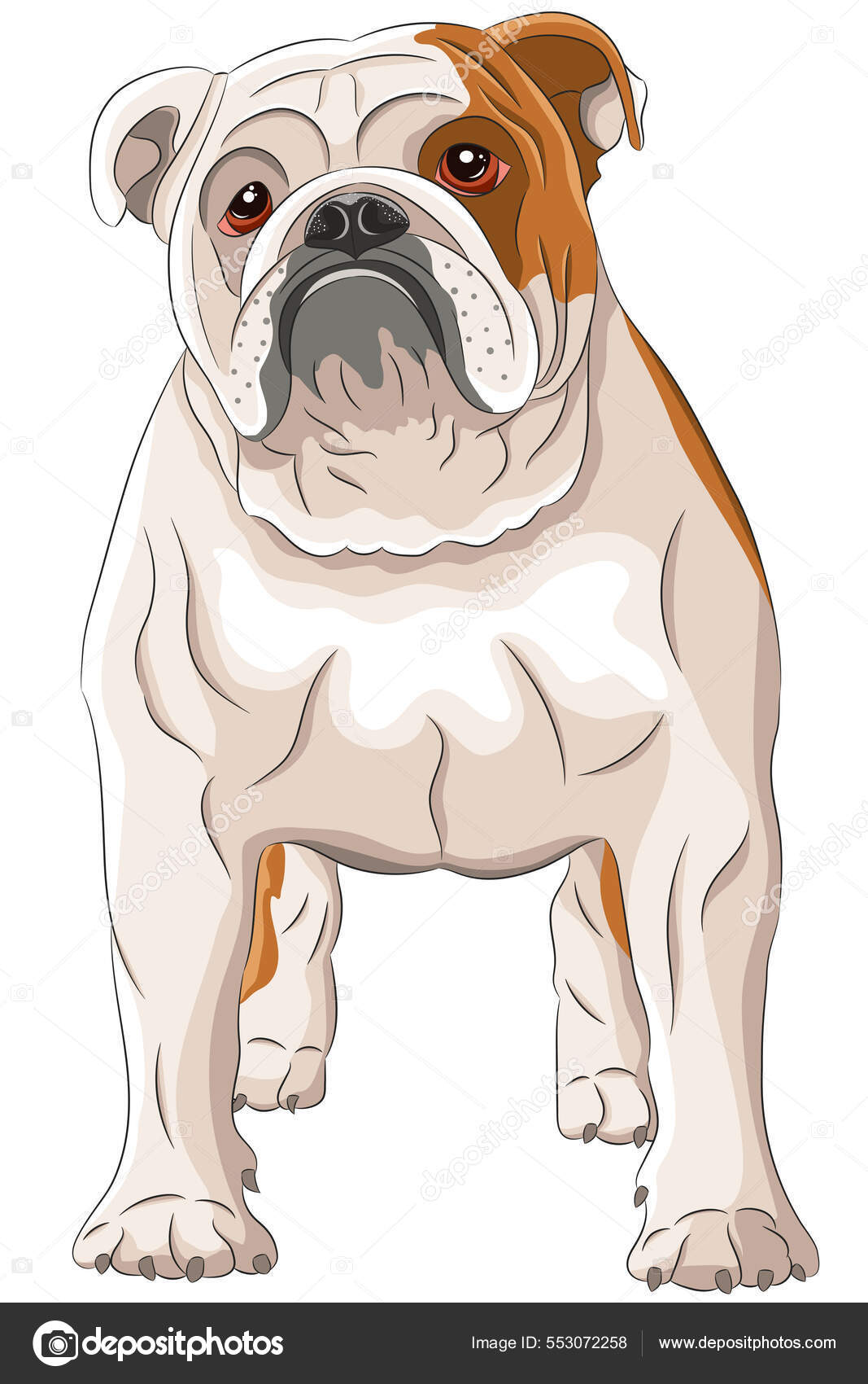 Vektor gambar bulldog Inggris besar dengan bintik-bintik merah pada ...