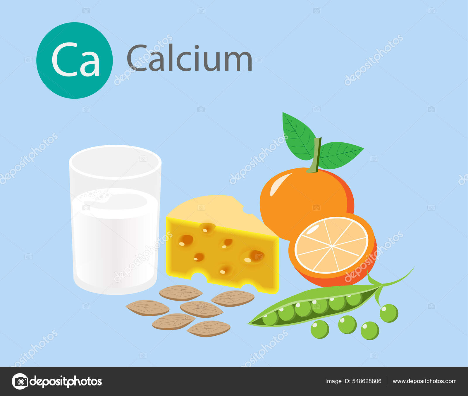 Vector Illustration Calcium Stock Vector by ©kate3155 548628806