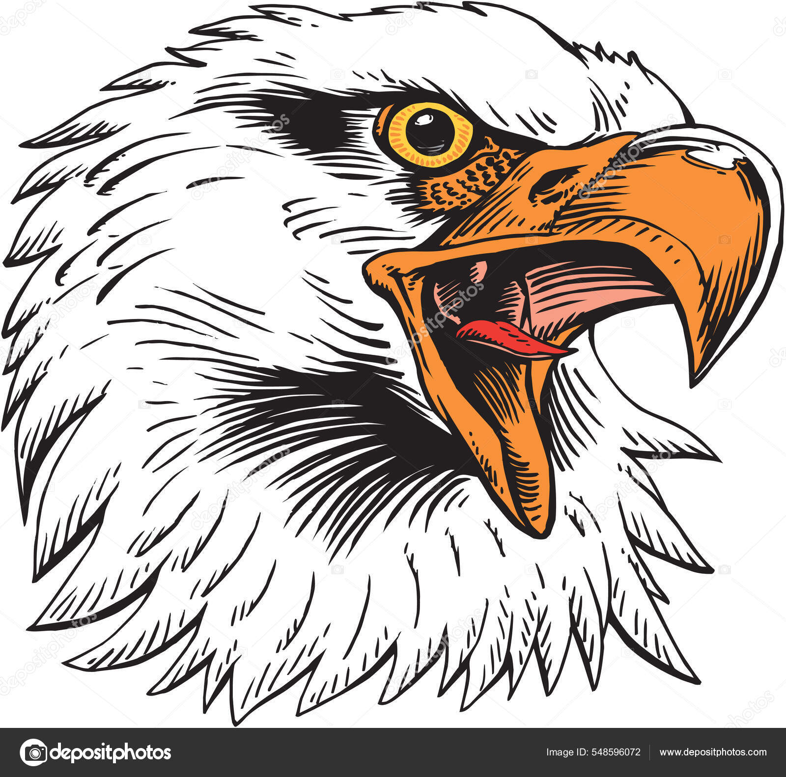 Screaming Eagle Head Tattoo Designs