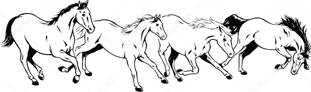 45 Wild mustangs Vector Images, Wild mustangs Illustrations | Depositphotos