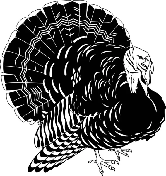 Wild Turkey Clip Art Black And White