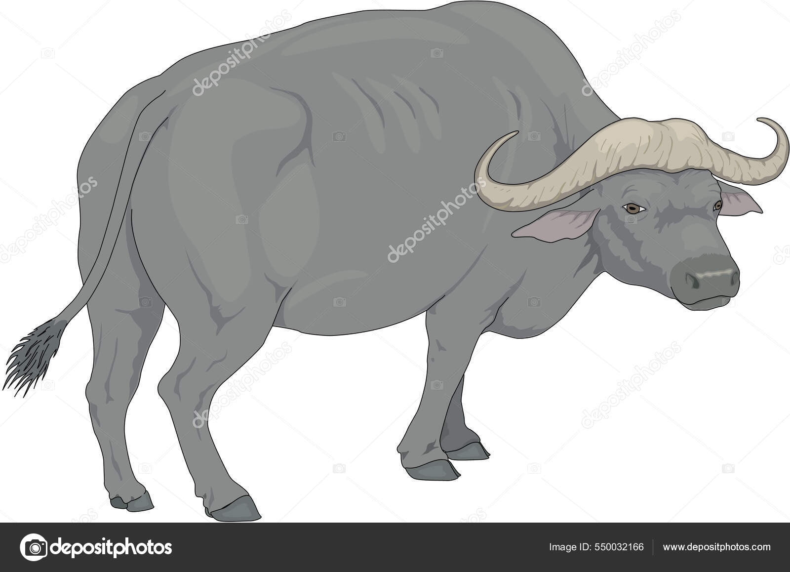 Water Buffalo Vector Illustration Stock Illustration by ...