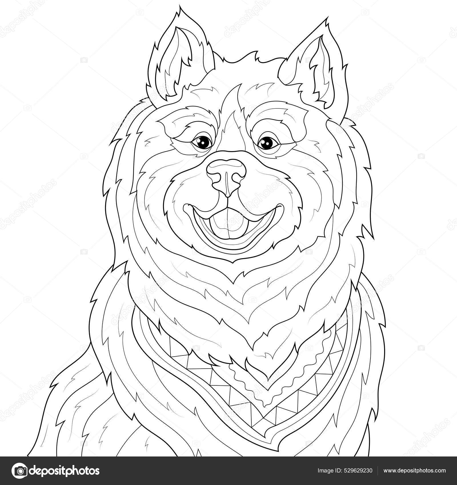 Samoyed Dog Coloring Book Antistress Children Adults Illustration ...