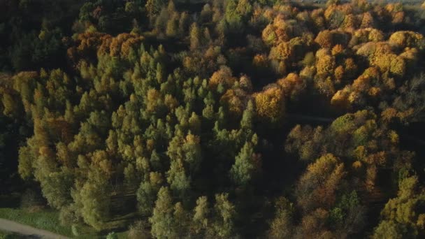 79,887 Trees flying Stock Videos, 4K & HD Footage | Depositphotos