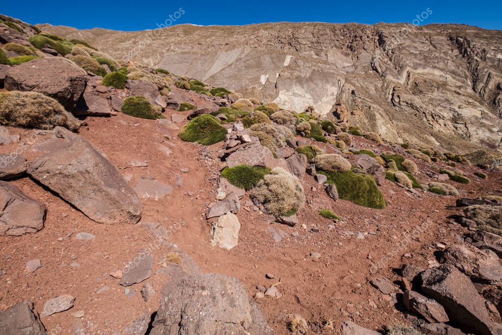 Meseta de Tarkeddit descenso hacia la garganta del Arous, MGoun trek ...