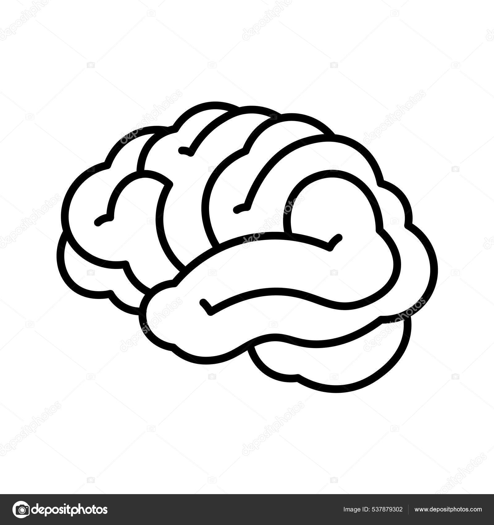 Brain Line Art Simple Design Vector Illustration Isolated White ...