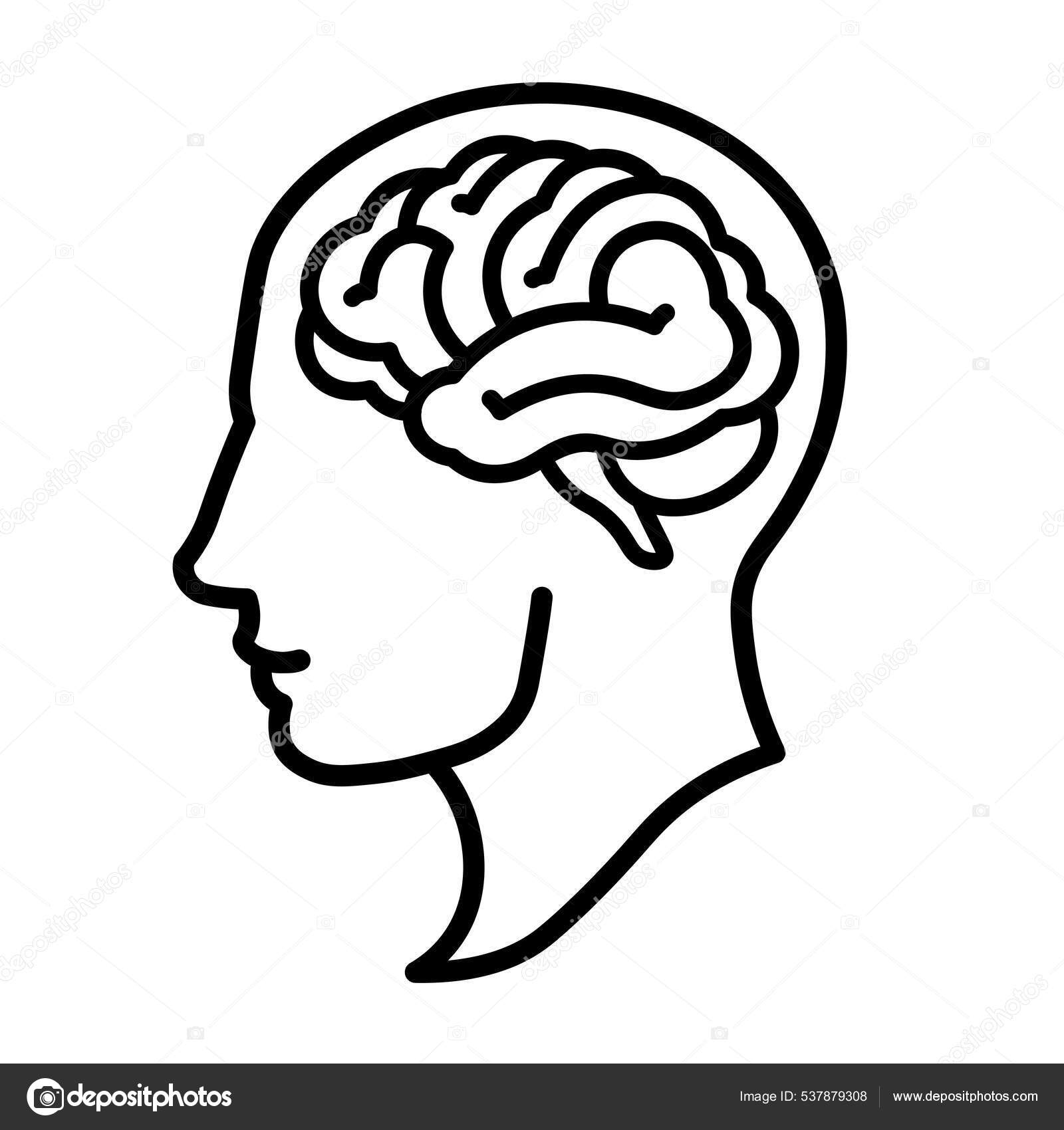 Human Brain Line Art Simple Design Vector Illustration Isolated White ...