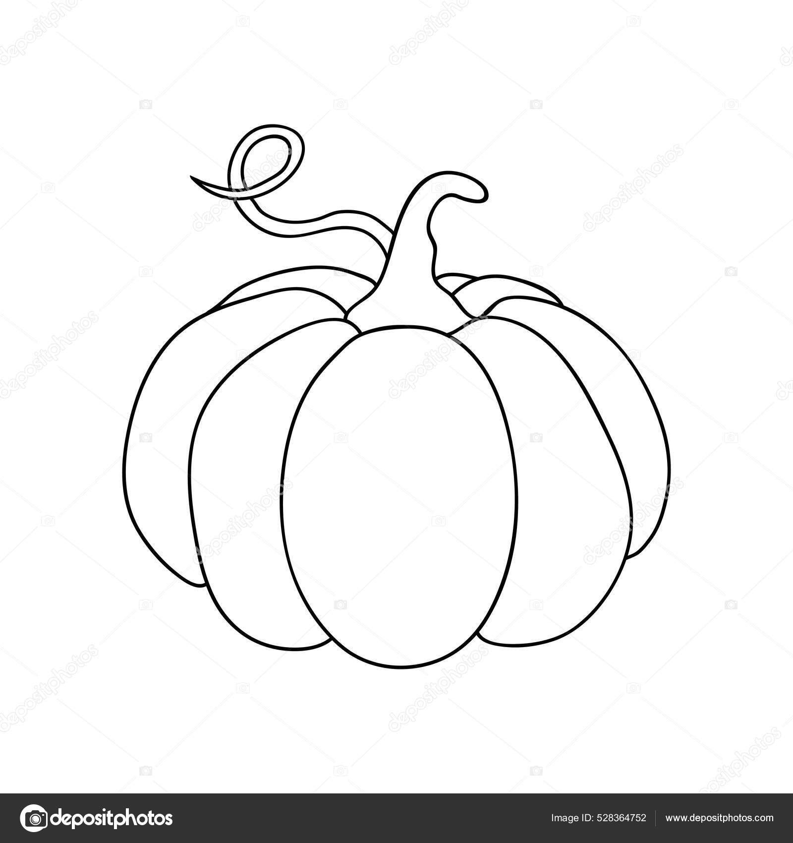 Pumpkin Icon Outline Simple Line Drawings Vector Illustration Pumpkin ...