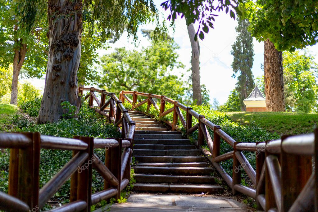Puente y camino de madera entre rboles y vegetaci n verde en el Parque ...