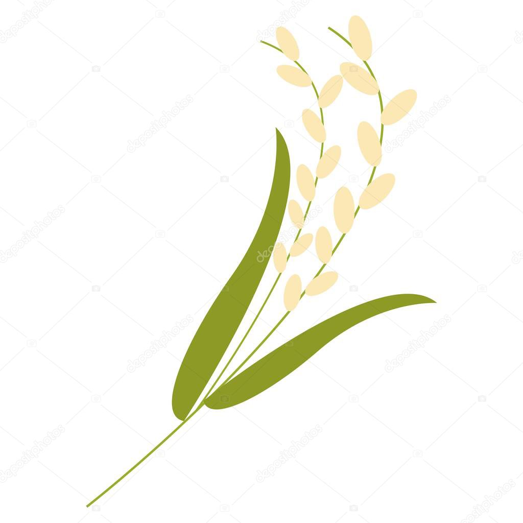 Rice spike flat clipart vector illustration premium vector 2024
