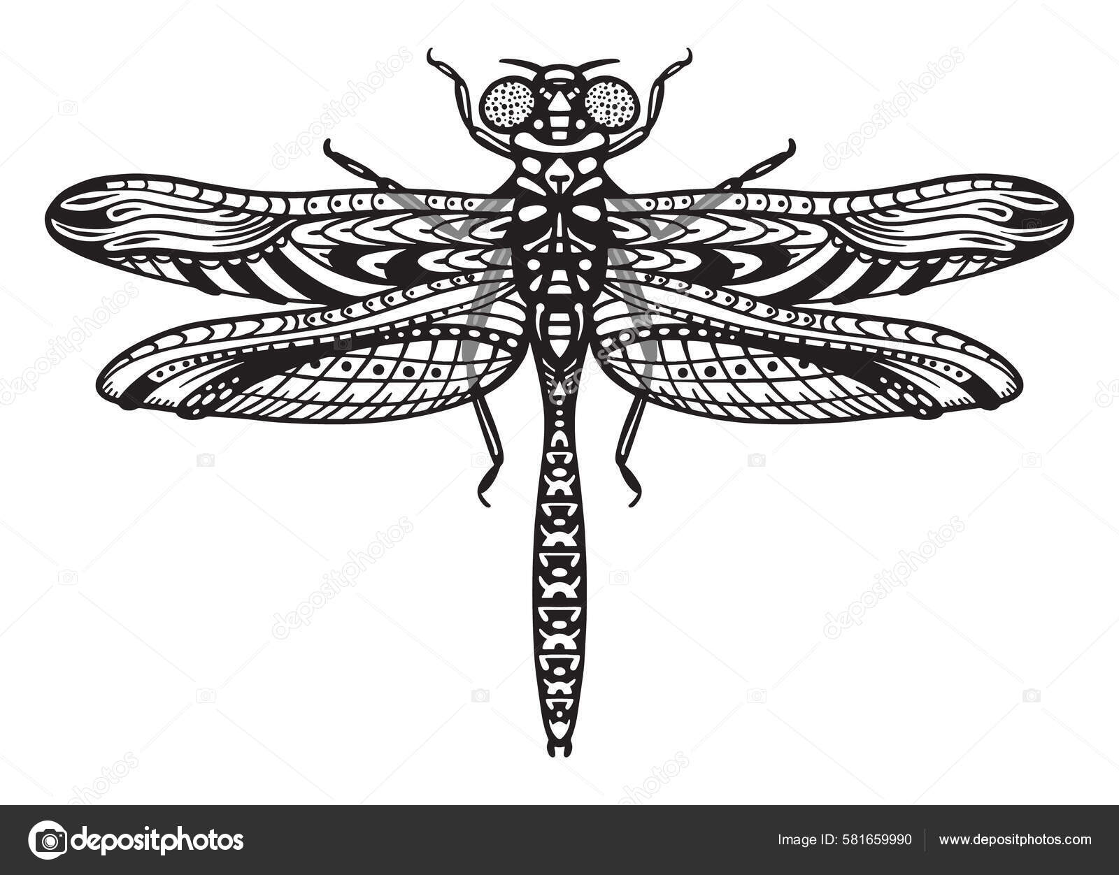 Libel Tekening Tatoeage Dragonfly Over Heilige Geometrie Teken,