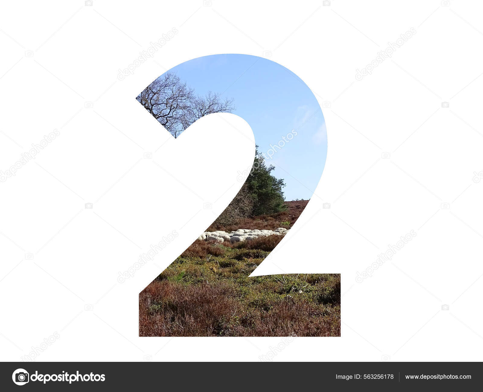 Number Alphabet Made Herd Sheep Heather Blue Sky Colors Brown Stock ...