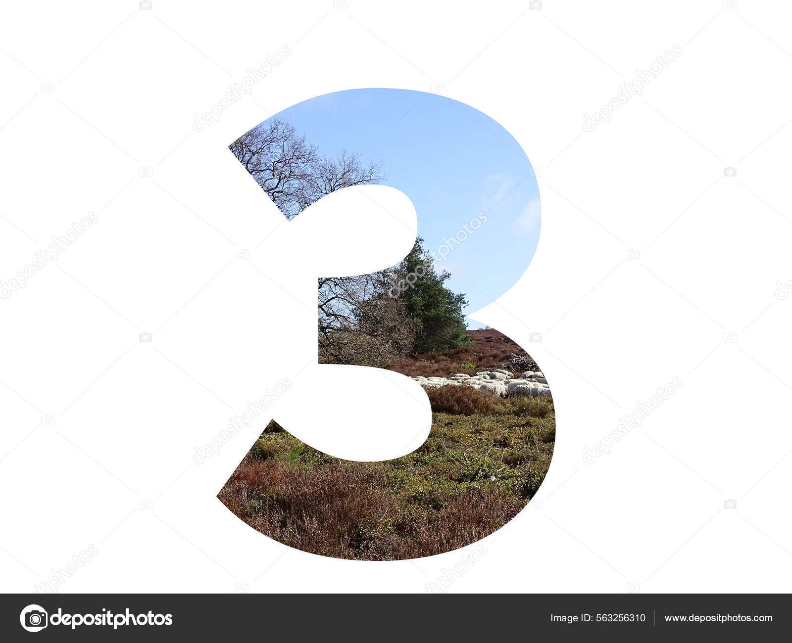 Number Alphabet Made Herd Sheep Heather Blue Sky Colors Brown Stock ...