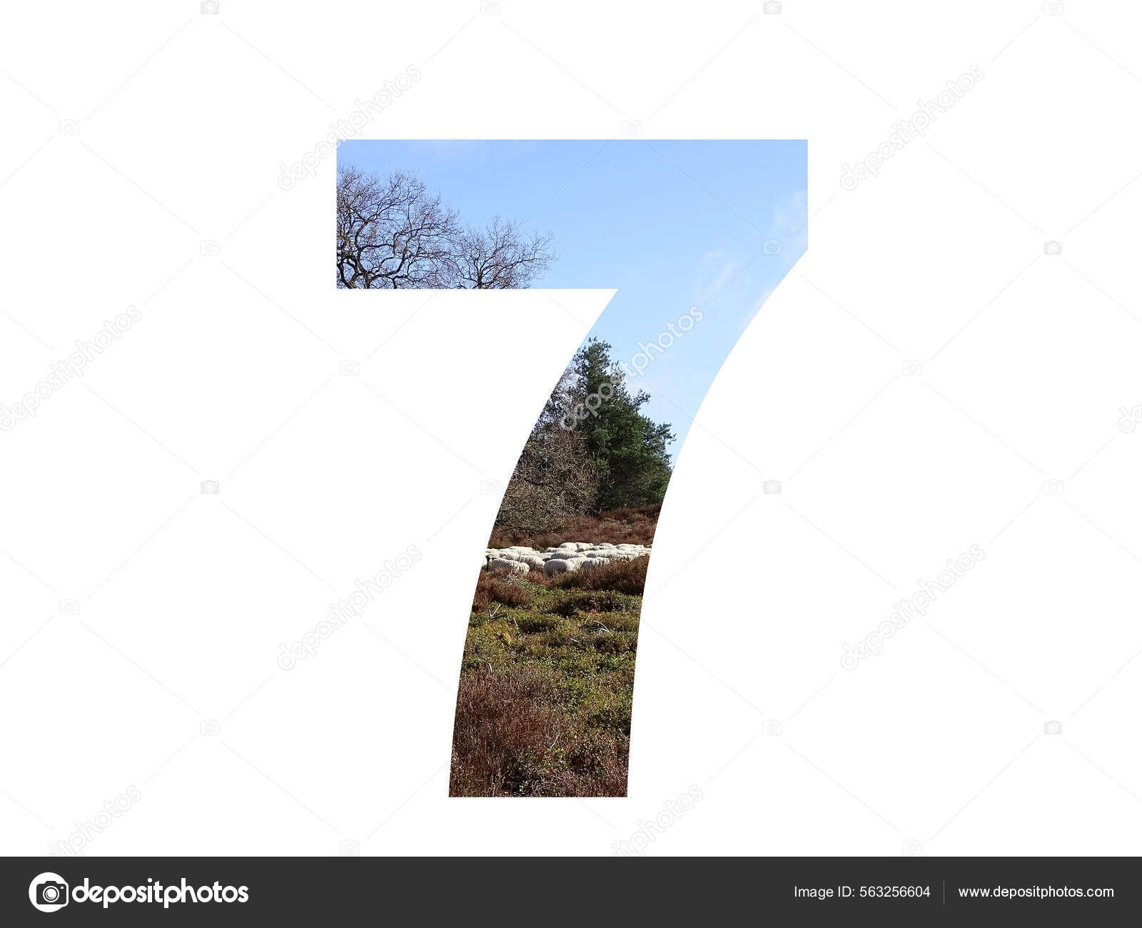 Number Alphabet Made Herd Sheep Heather Blue Sky Colors Brown Stock ...