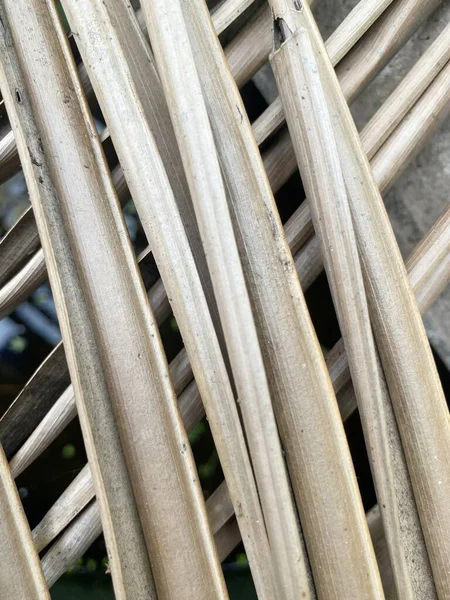 Cane frame Stock Photos, Royalty Free Cane frame Images | Depositphotos