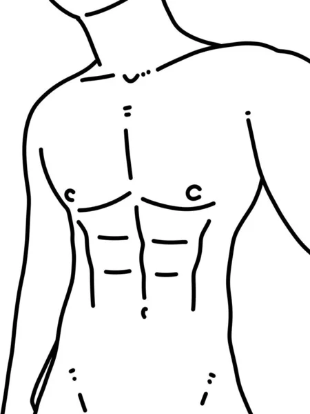 Male Body Outline Drawing