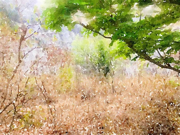 art color of landscape background - Stock Image - Everypixel