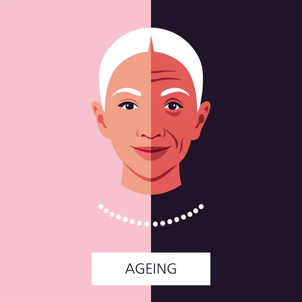 Ageing generations Vector Art Stock Images | Depositphotos