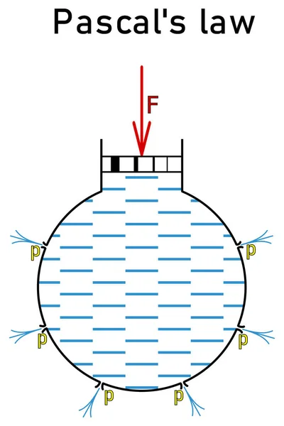 Graphical Representation Hydrostatic Paradox Hydrostatic Compressive ...