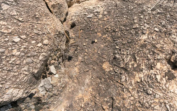 Rocky cut Stock Photos, Royalty Free Rocky cut Images | Depositphotos