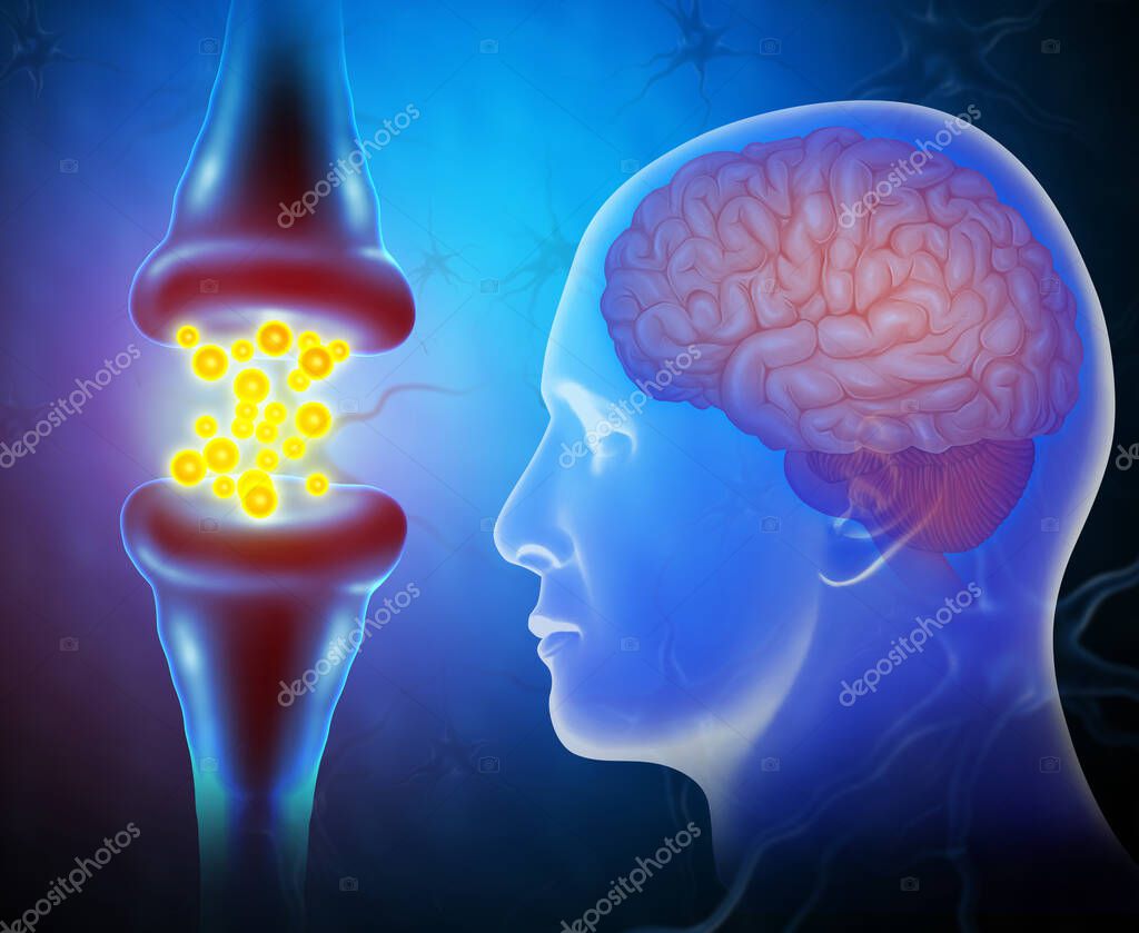 Ilustración médica de la célula receptora humana con cerebro 2024