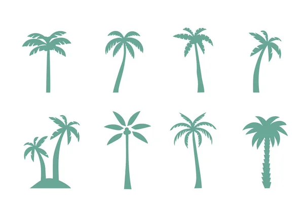 Palm tree miami Vector Images | Depositphotos