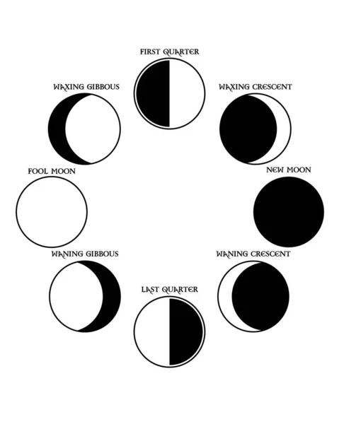 100,000 Moon phase chart Vector Images | Depositphotos