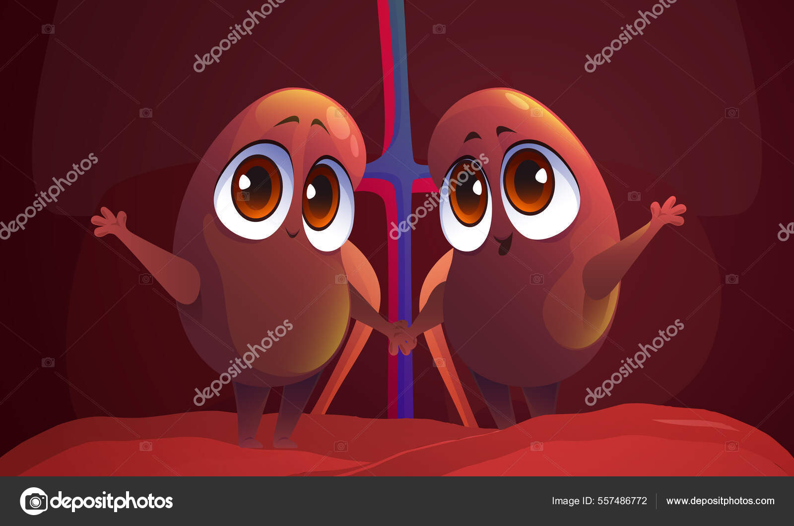 Cute characters of kidneys, human internal organs Stock Vector Image by ...