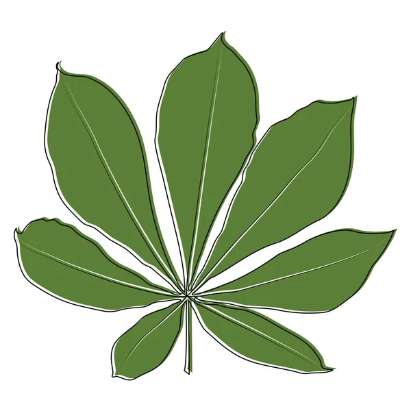 Herbal treatment emblem imágenes de stock de arte vectorial | Depositphotos