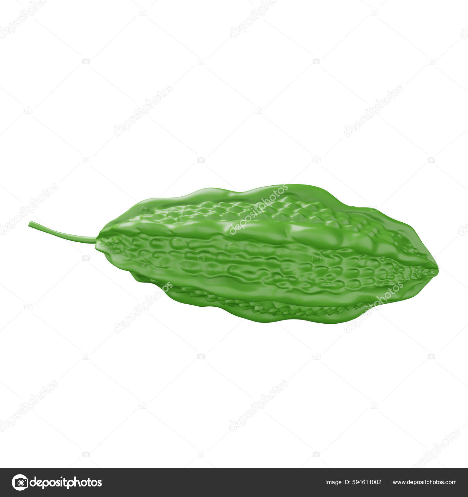 Bitter Gourd Rendering Isometric Icon Stock Vector Image by ...