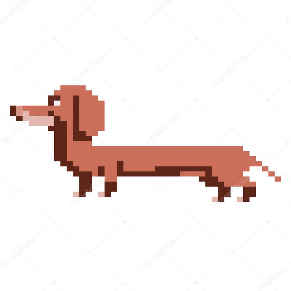 Razas de perros. Pixel art iconos de estilo de los 80. Pegatinas y ...
