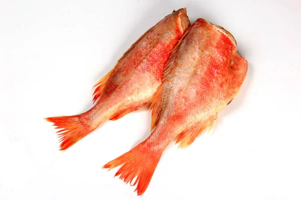 Northern red snapper Stock Photos, Royalty Free Northern red snapper ...