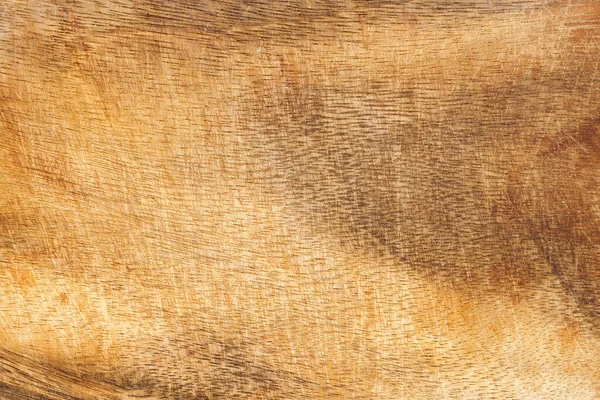Lion skin texture Stock Photos, Royalty Free Lion skin texture Images ...
