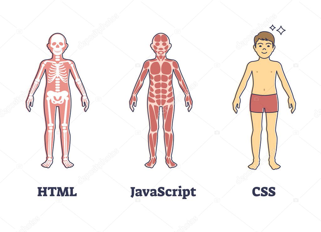 Programación Html Javascript O Css En Comparación Con El Concepto De