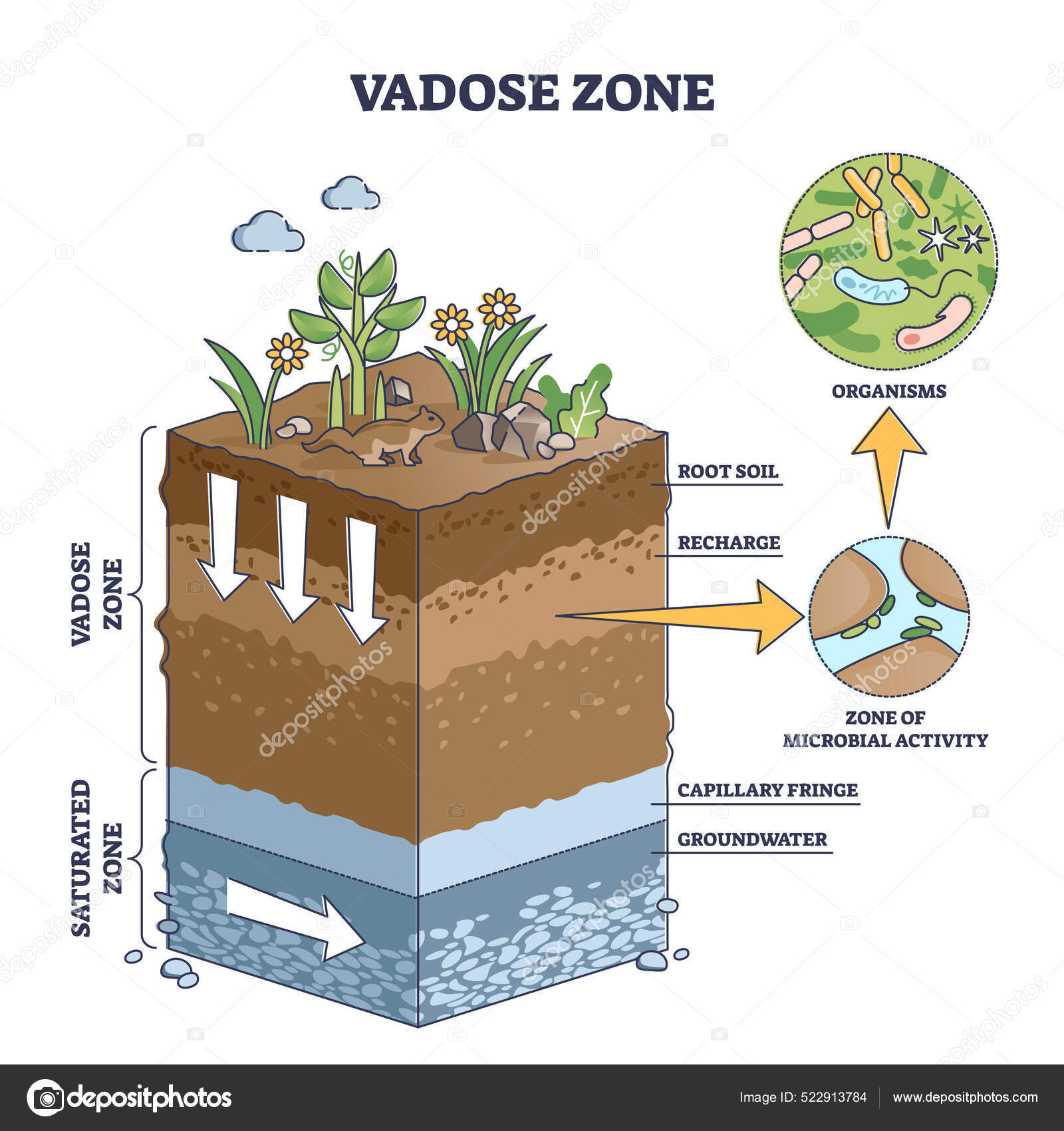Vadose or unsaturated zone as geological earth layer division outline ...