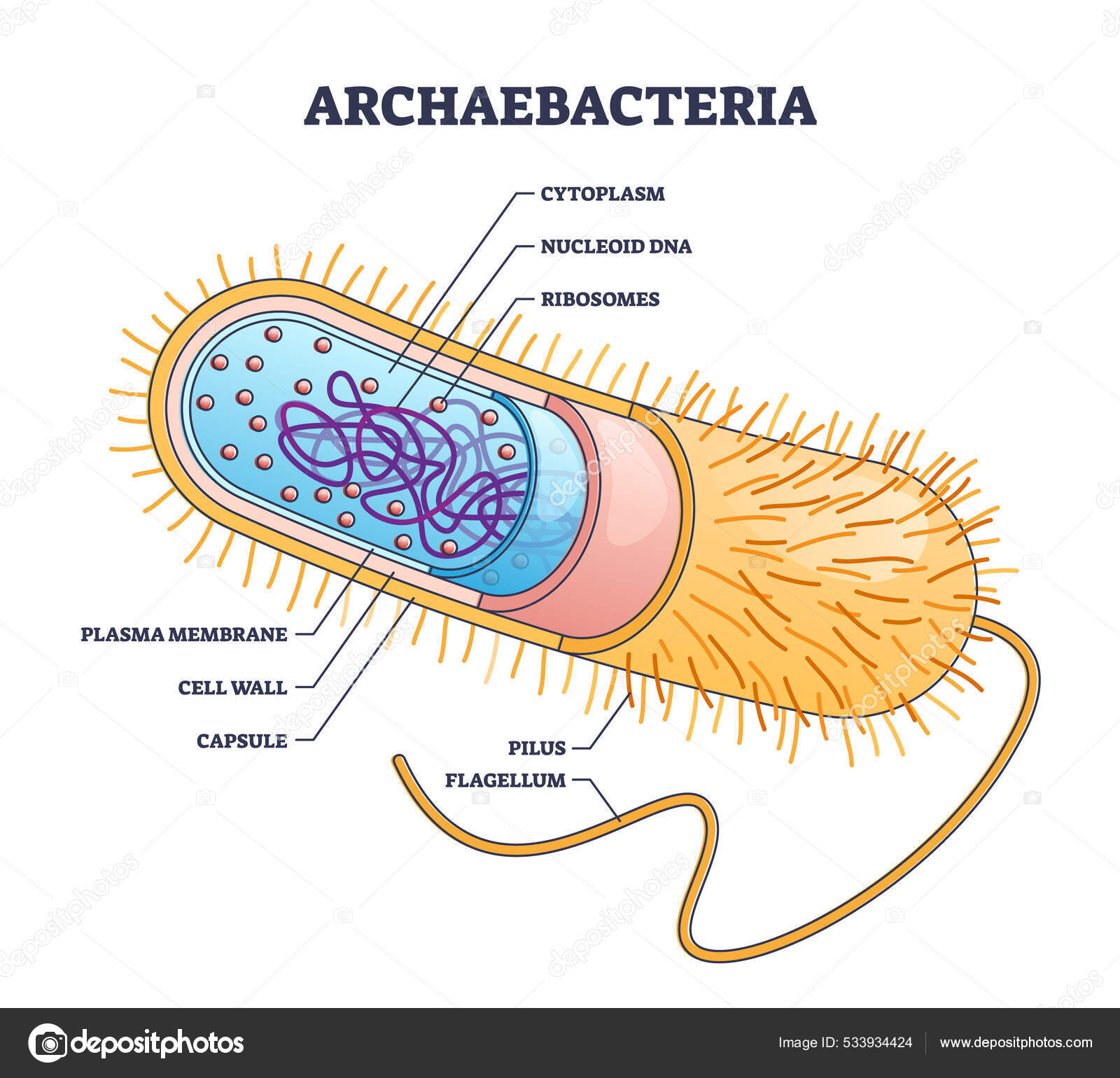 101 Proofs For God 95 Archaea