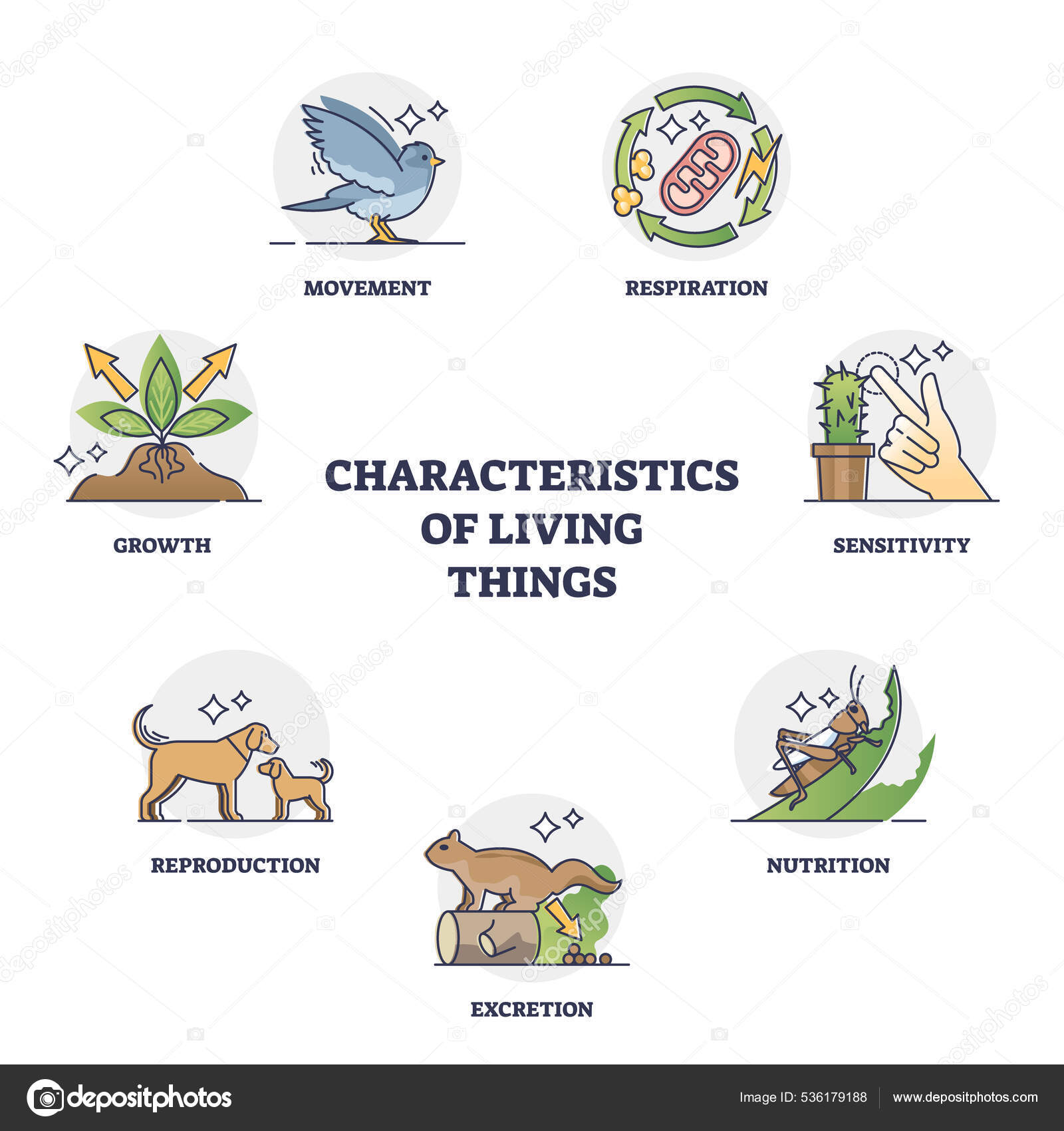 Characteristics of living things and their recognition groups outline ...