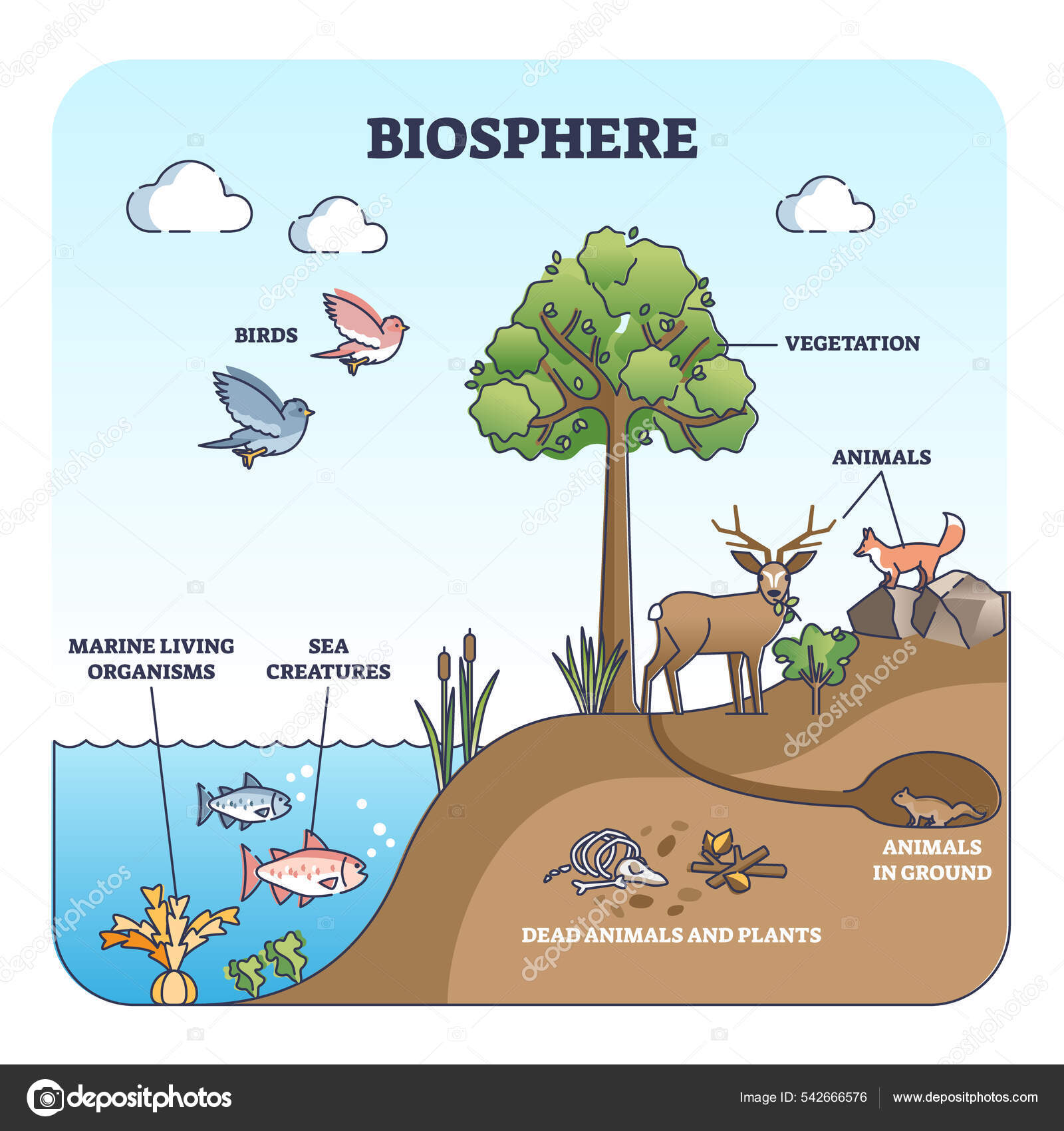 Diagrama Da Biosfera Terrestre