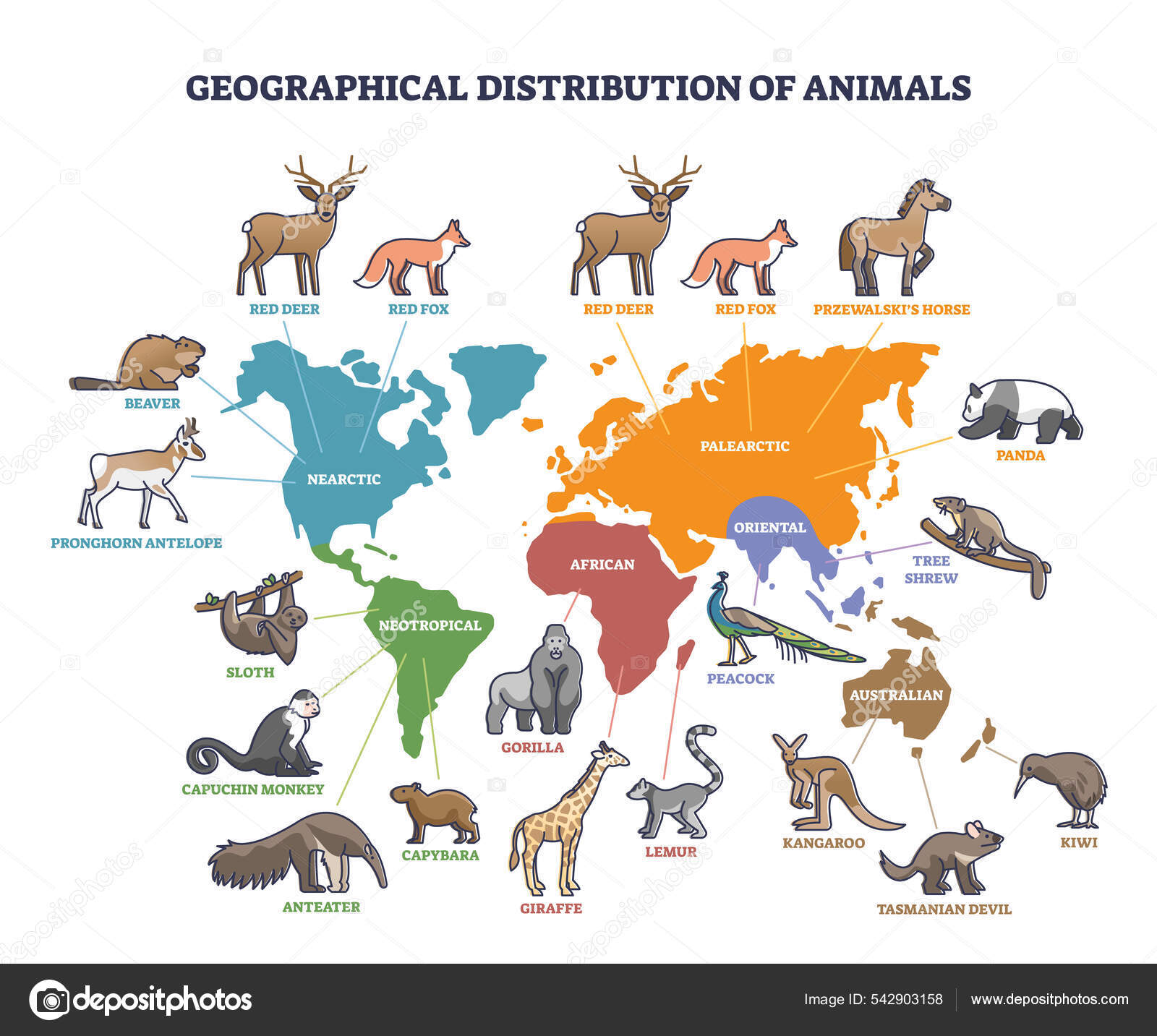 Distribuição geográfica dos animais selvagens nas zonas do mapa-mundo ...