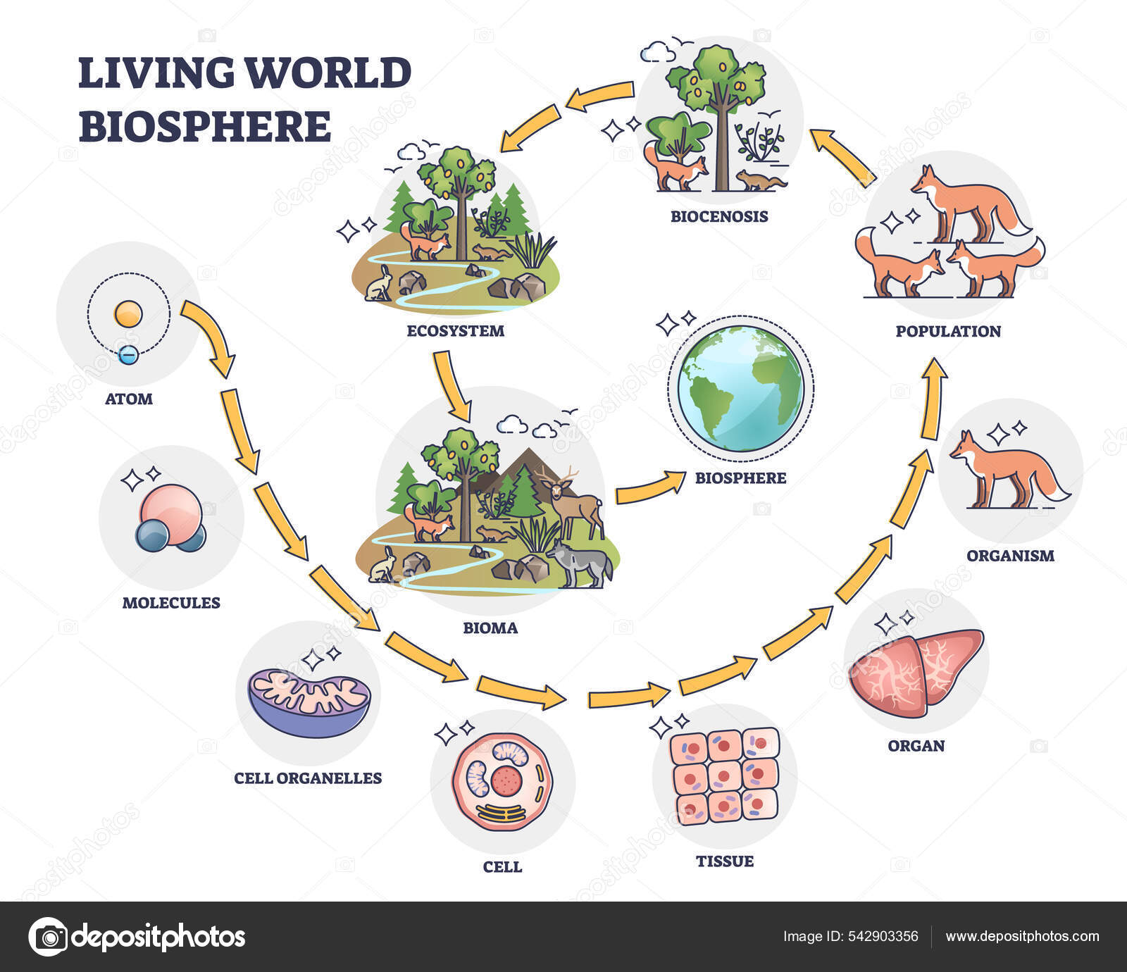 Living world biosphere with structural hierarchy division outline ...