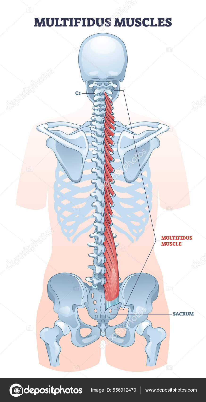 Kas Sistemi Etiketlenmemiş