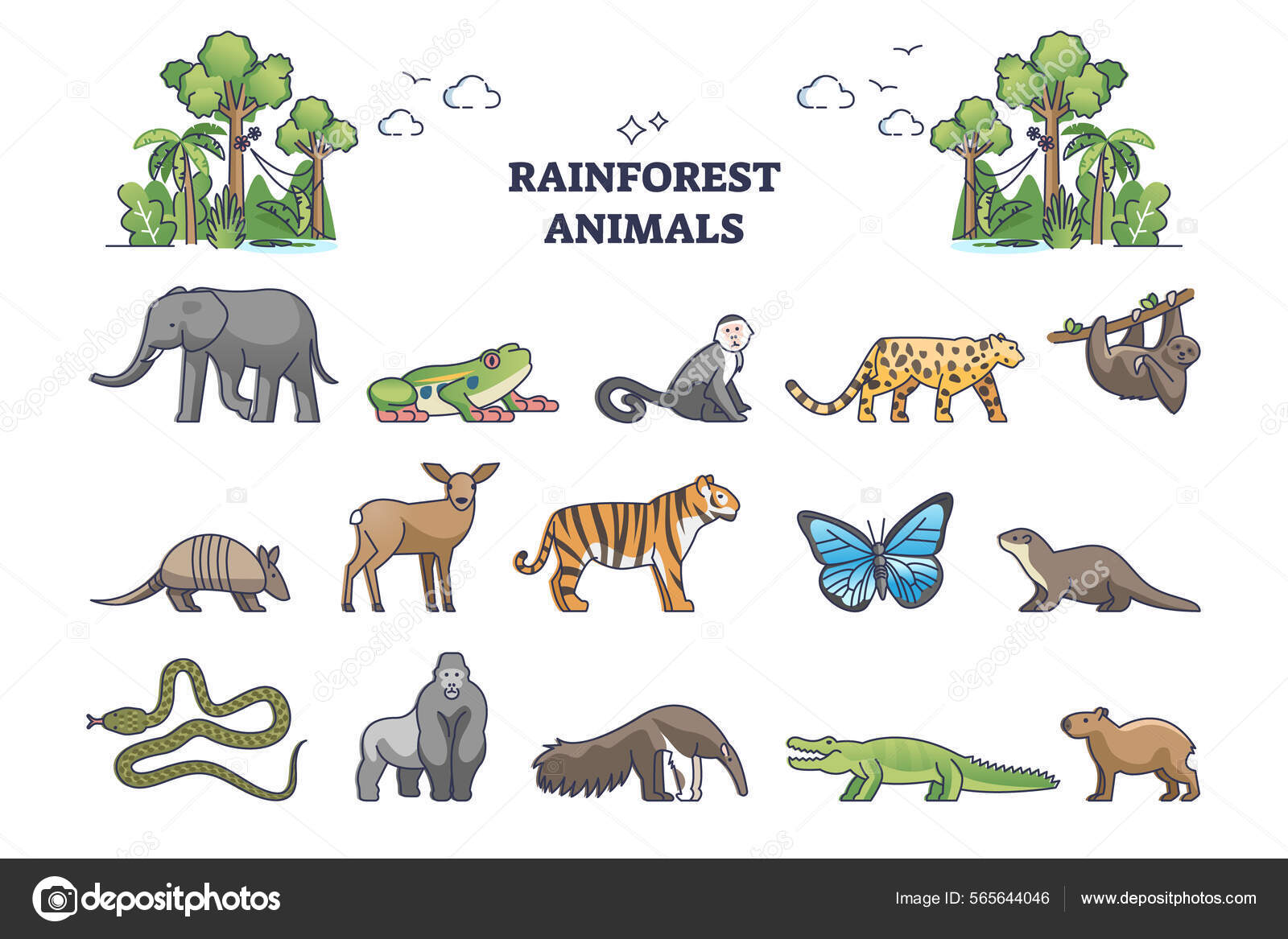 Tropical Dry Forest Animals List