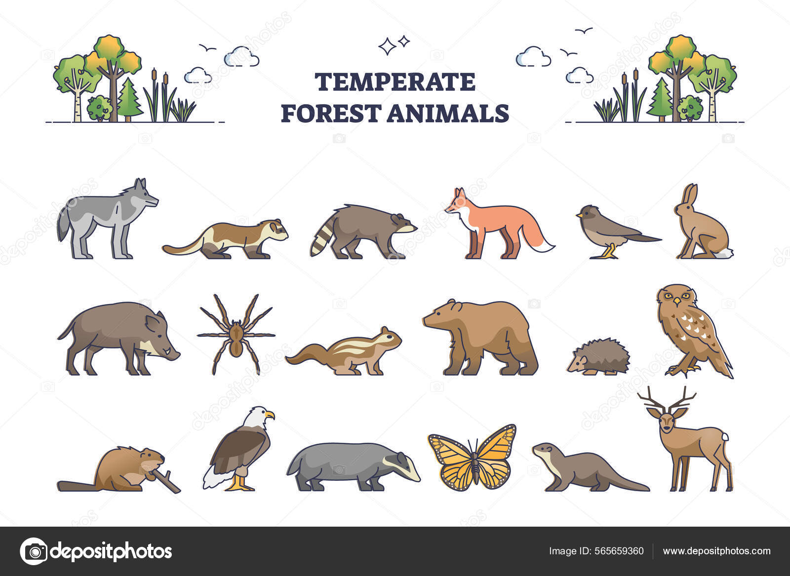 Animales del bosque templado y especies de la naturaleza viva resumen ...