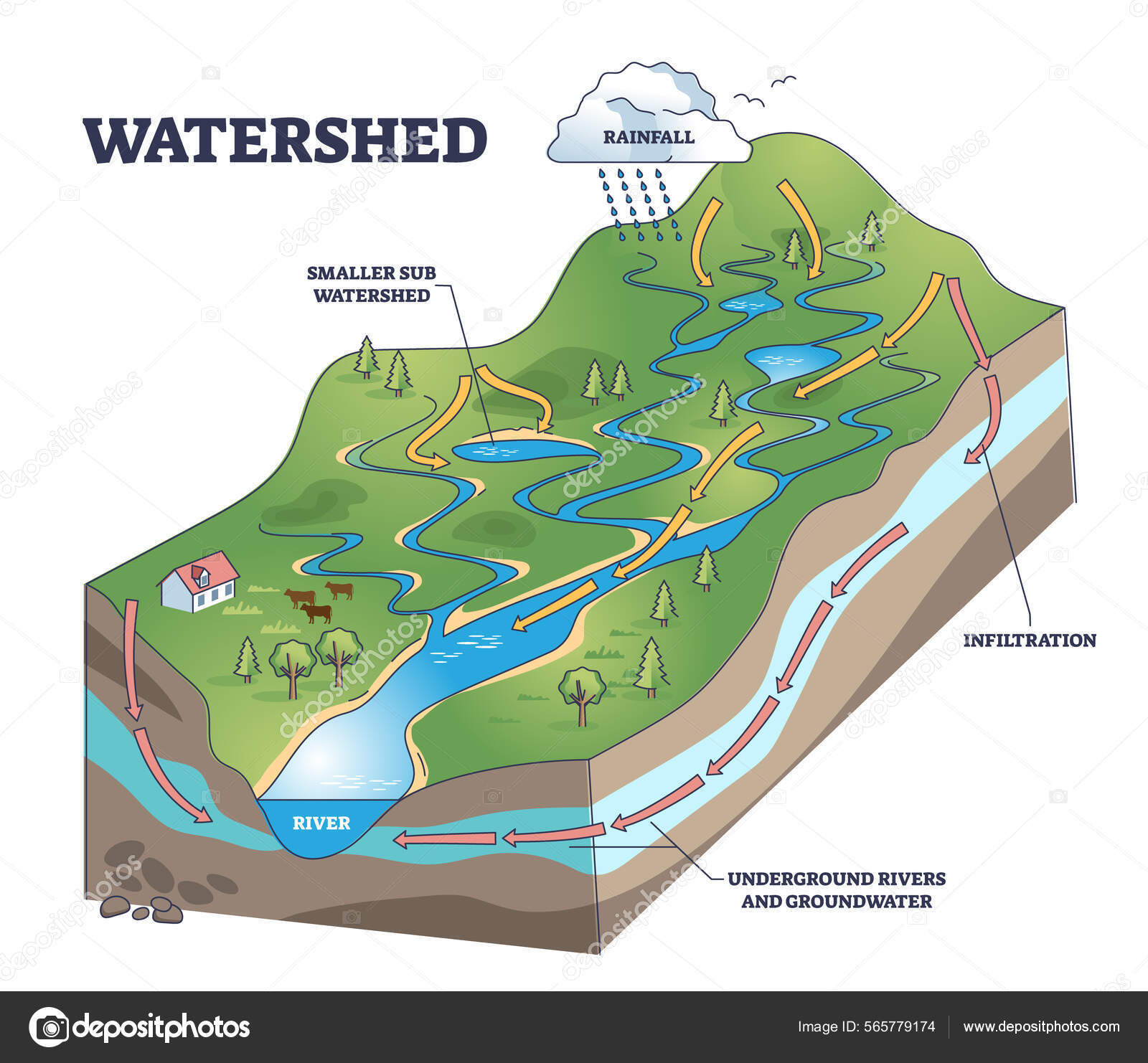 Watershed as water basin system with mountain river streams outline ...