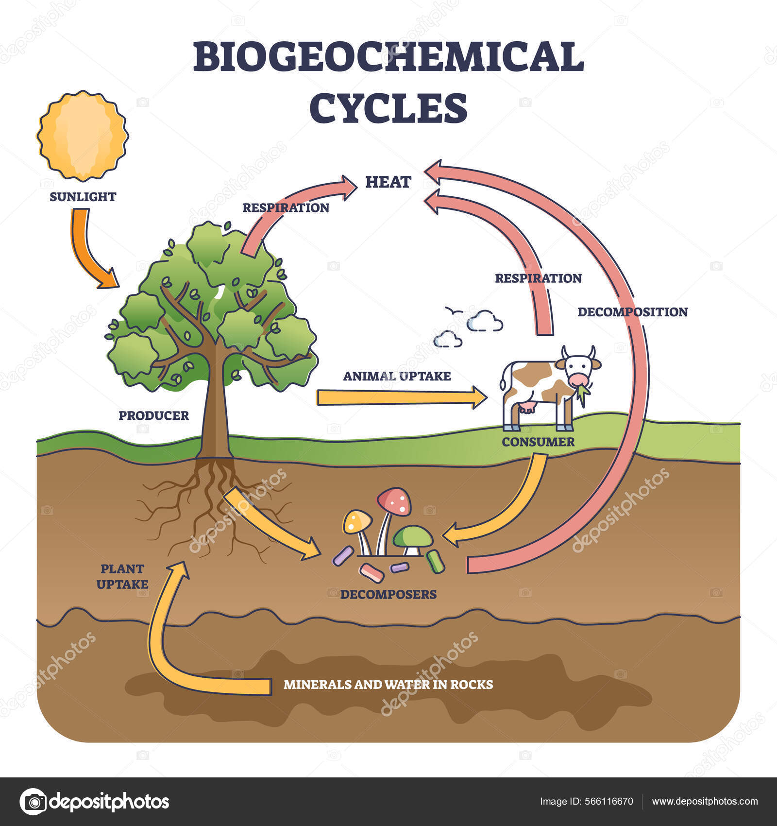 Animazione Ciclo Del Carbonio La Decarbonizzazione Nella Meccanica
