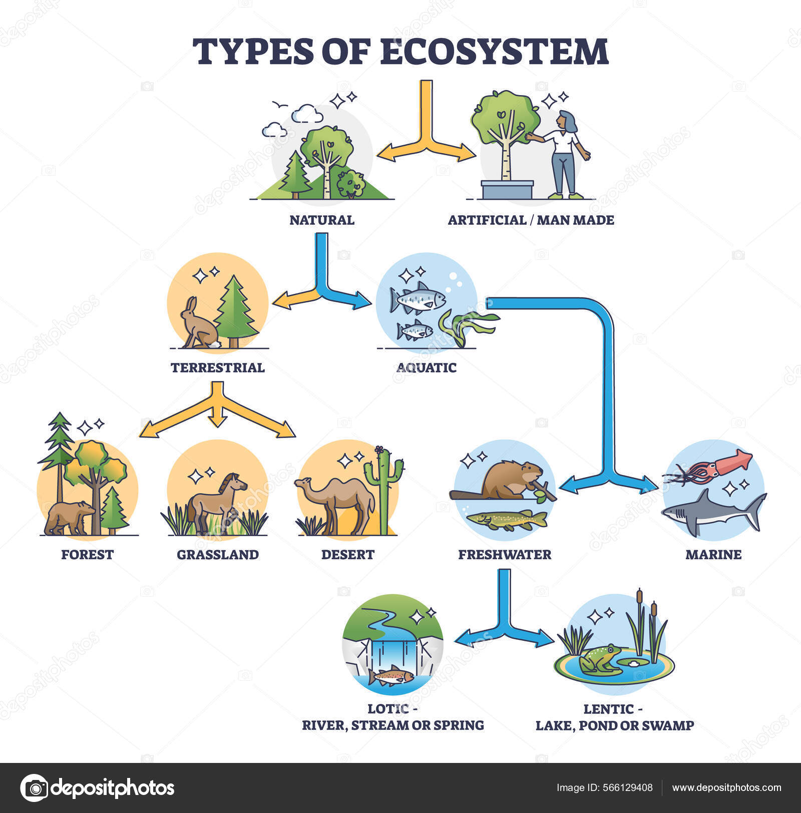Tipos de ecosistema con diagrama de contorno de división natural y ...
